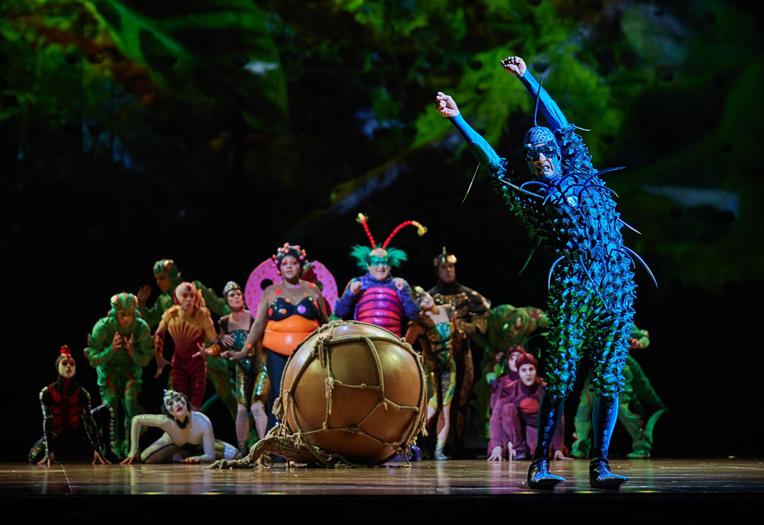 FOR THE FISRT TIME CIRQUE DU SOLEIL'S OVO COMES TO EGYPT - TheDose-Mag