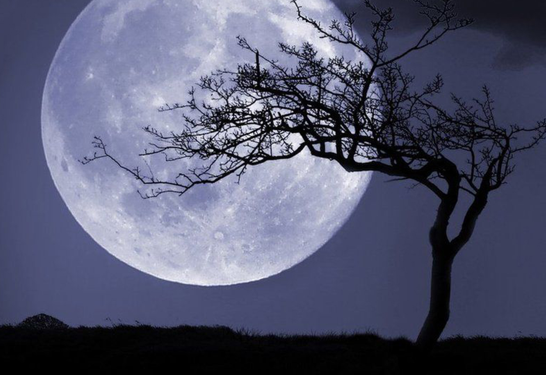 NASA PLANS TO BUILD HOMES ON THE MOON - TheDose-Mag